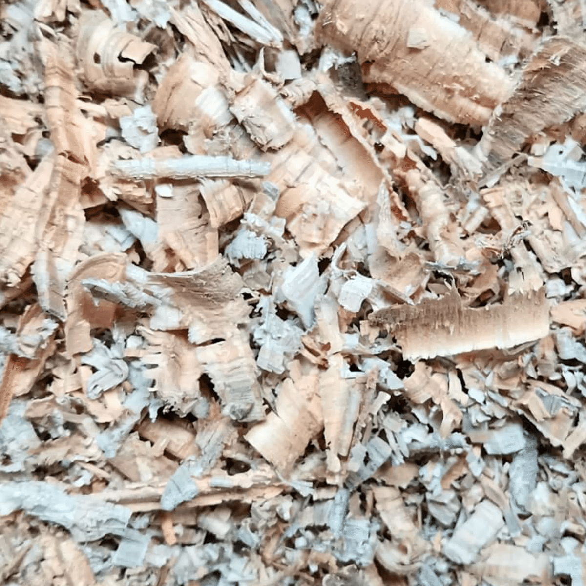 ALFF – Quality Products – From farm to feed