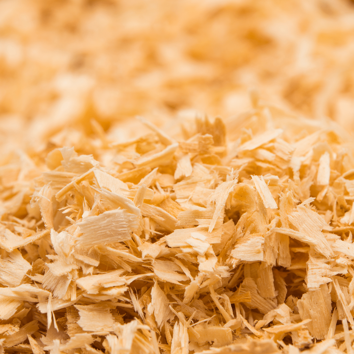 ALFF | Products and Services